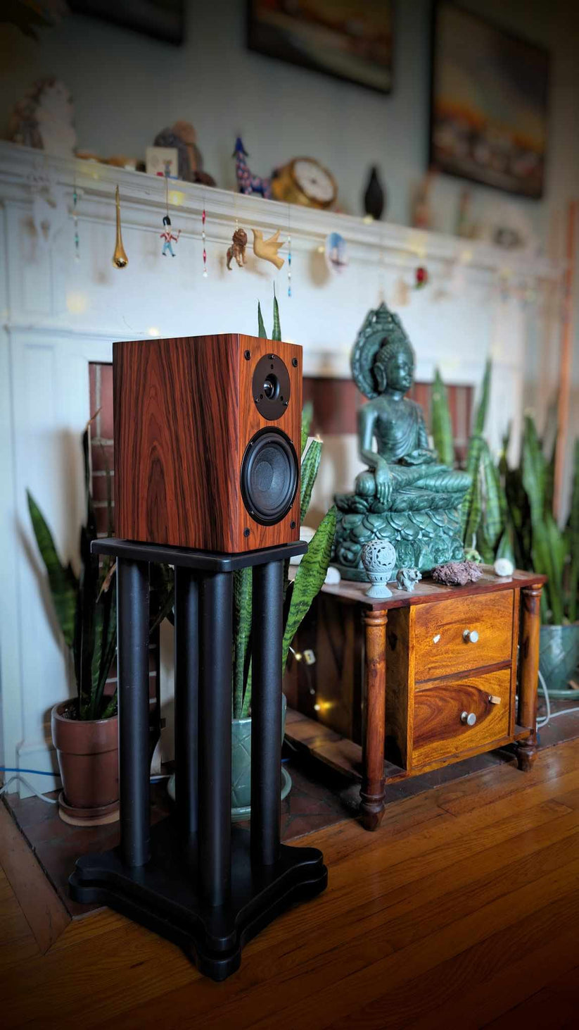 Buy Vanguard Scout Online | The $299 per pair Miracle Mini Monitor