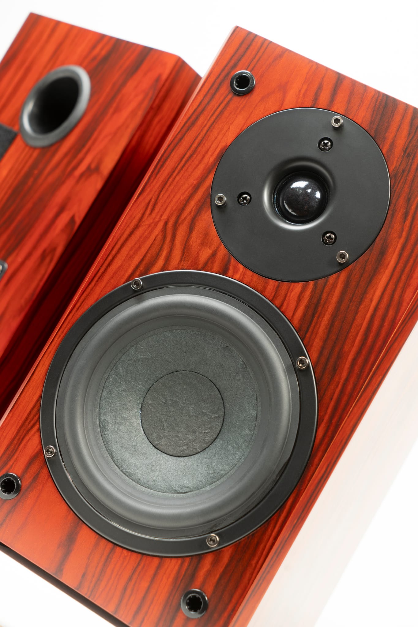 Buy Vanguard Scout Online | The $299 per pair Miracle Mini Monitor