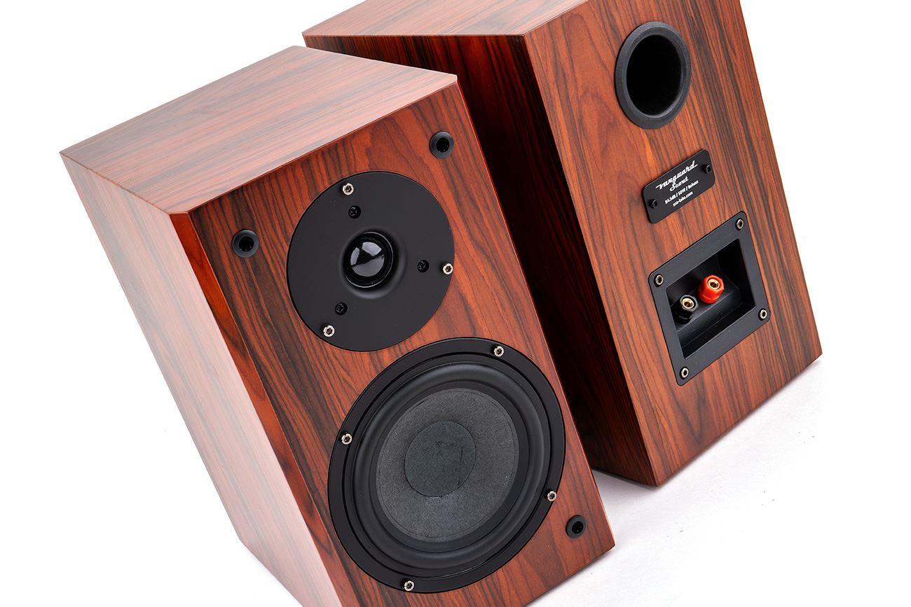 Buy Vanguard Scout Online | The $299 per pair Miracle Mini Monitor
